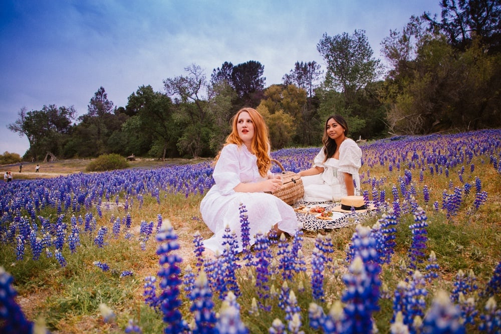 I Found The Most Magical California Lupine Wildflowers For A Picnic
