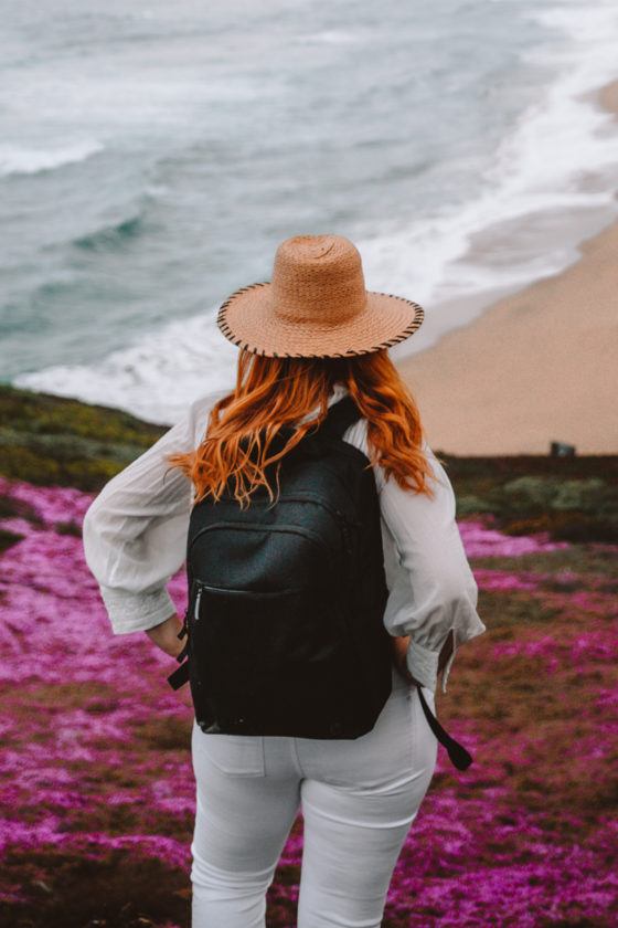 BEST Eco Friendly Backpack Made From Recycled Plastic Bottles