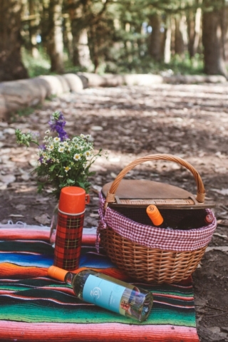 Picnic Aesthetic: Your Ultimate Picnic Styling & Outfit Guide