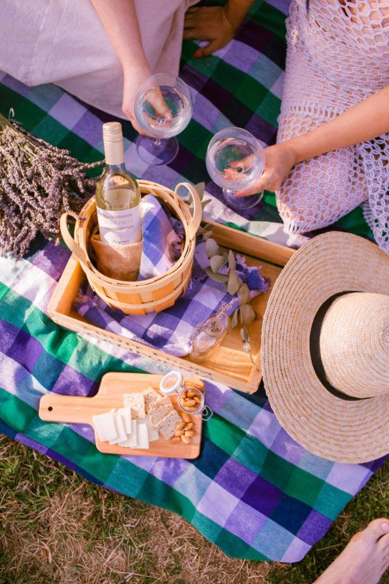 Picnic Aesthetic: Your Ultimate Picnic Styling & Outfit Guide