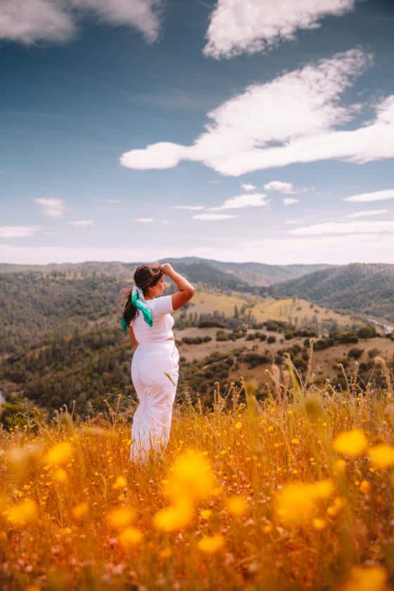 15 Magical California Poppy Fields + Best Month To View Them