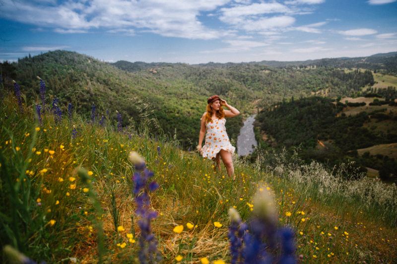 15 Magical California Poppy Fields + Best Month To View Them