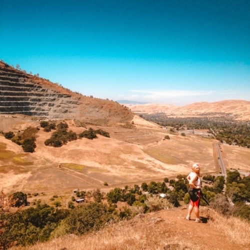 15 Magical California Poppy Fields + Best Month To View Them