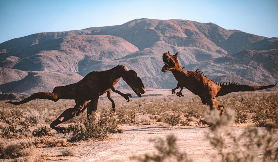 15 Magical California Poppy Fields + Best Month To View Them