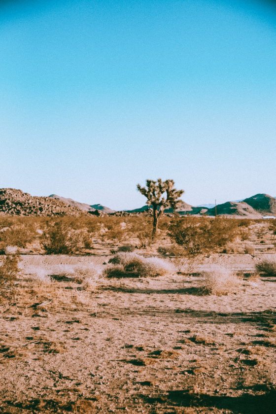 7 Steps to Finding Your Magickal Morning Ritual For Happiness & Self Care