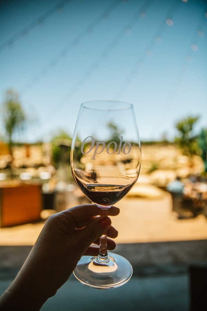 11 Amazing Paso Robles Wineries You Can't Miss For The Perfect Wine ...