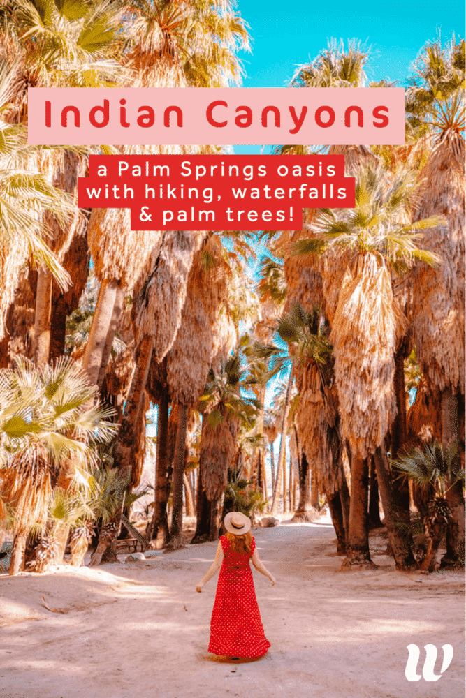 Indian Canyons Palm Springs: Essential Hiking Tips For This Desert Oasis