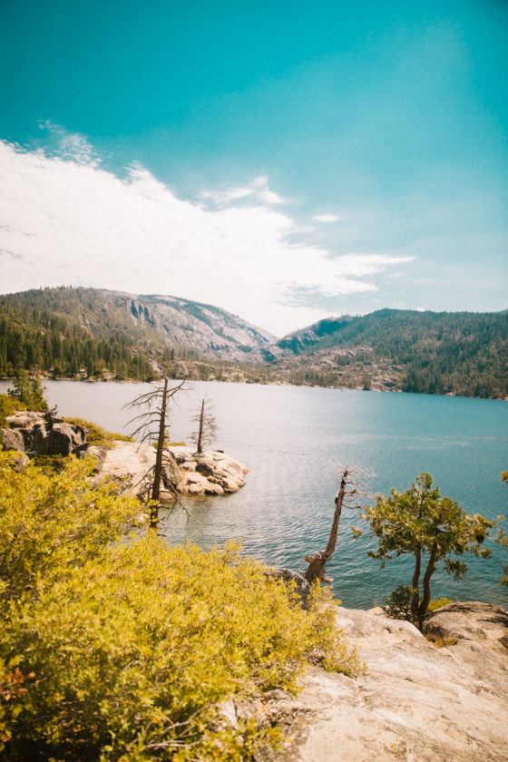 Pinecrest Lake Camping: Best Sites + Fun Things To Do At This Epic ...