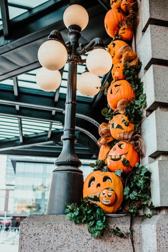 18 Fall Aesthetic Ideas: Outfits, Home Decor, Screensavers & More