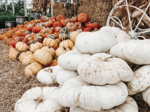 Whimsy Soul - Find your everyday magic