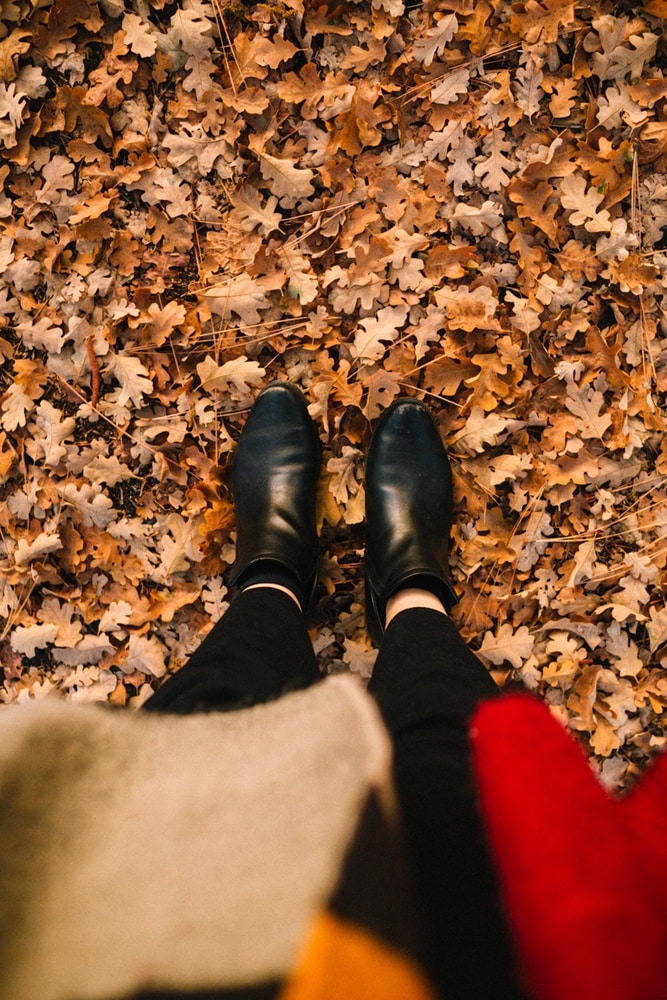 California Fall Colors: 18 Stunning Places To Visit This Autumn For Foliage