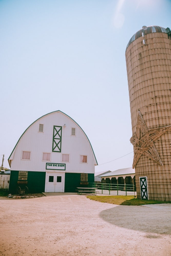 12 Stunning Wisconsin Sunflower Fields (Farms, U-pick & More!)