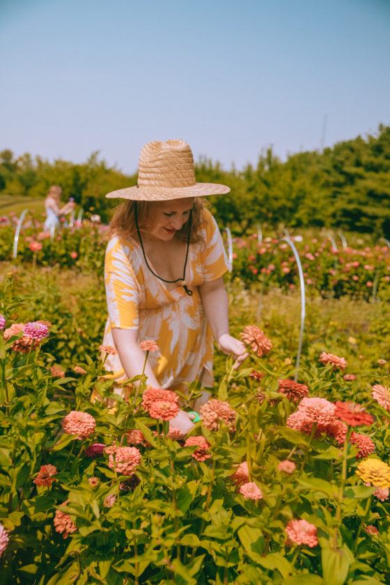 12 Stunning Wisconsin Sunflower Fields (Farms, U-pick & More!)