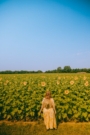 12 Stunning Wisconsin Sunflower Fields (Farms, U-pick & More!)