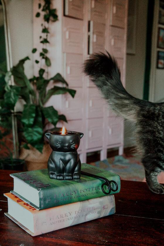 A Bewitching Black Cat Candle That Supports Kitten Rescue