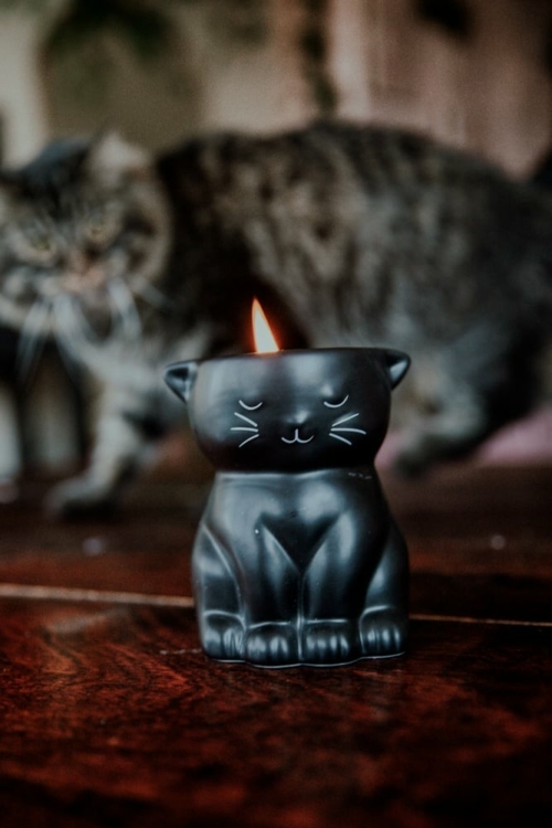 A Bewitching Black Cat Candle That Supports Kitten Rescue