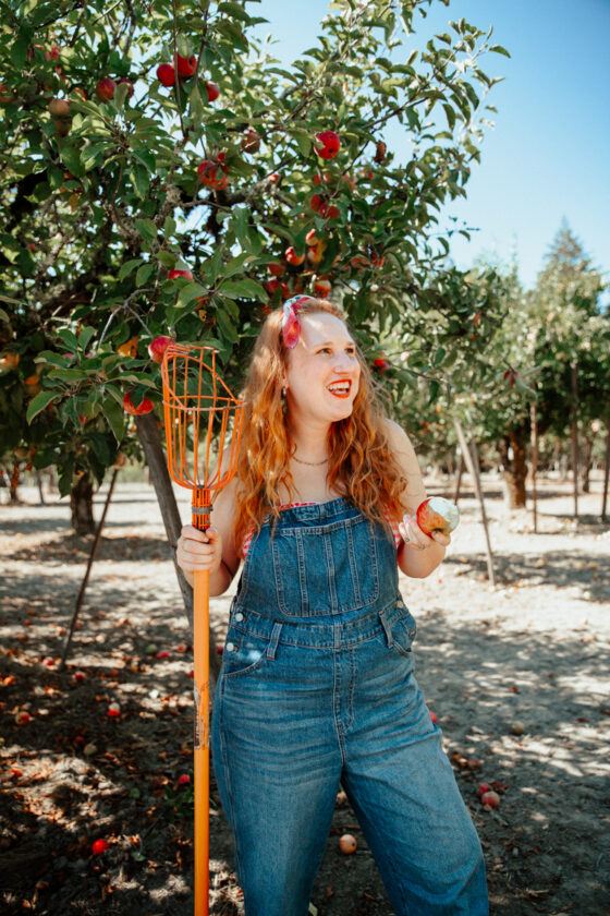 Apple Hill California: The Ultimate Fall Travel Guide