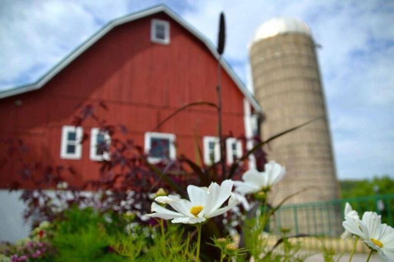 23 Best Wisconsin Wineries For Your Wine Tasting Weekend