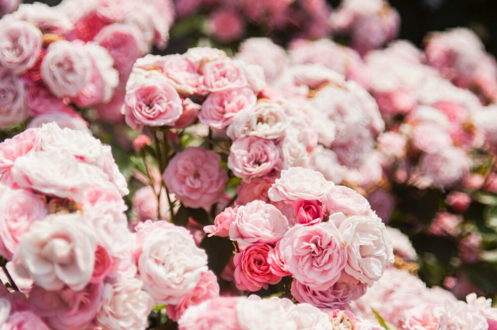 Beltane: An Intro to the Ancient Holiday and How to Celebrate