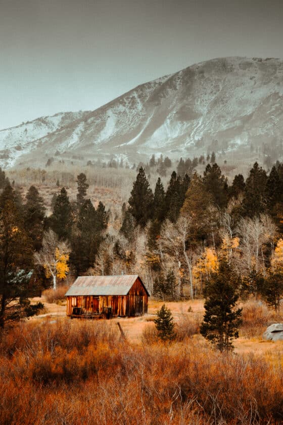 14 Spots To Find Stunning Lake Tahoe & Hope Valley Fall Colors This Autumn