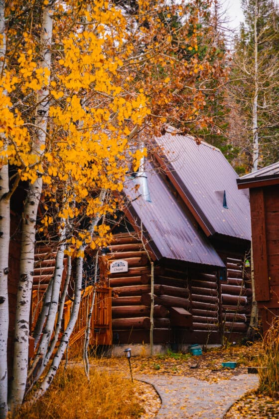 14 Spots To Find Stunning Lake Tahoe & Hope Valley Fall Colors This Autumn