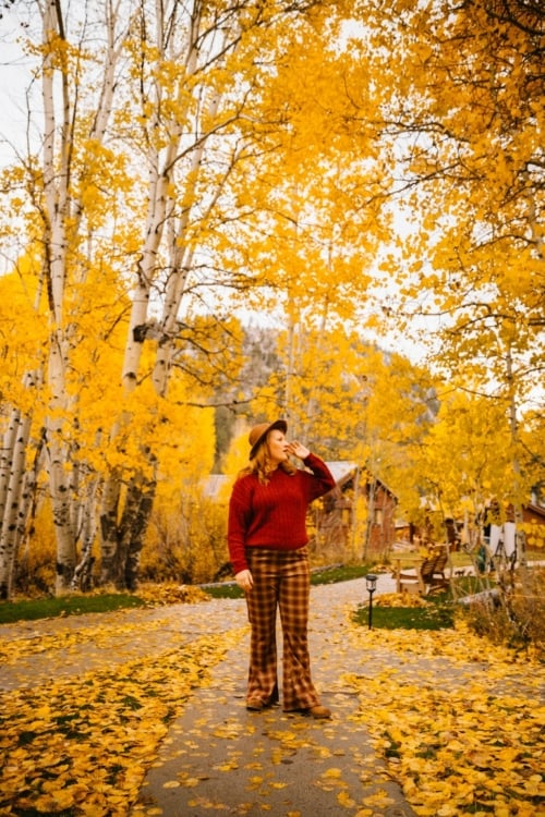 14 Spots To Find Stunning Lake Tahoe & Hope Valley Fall Colors This Autumn