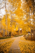 How to Celebrate the Autumn Equinox: 15 Ideas for Abundance
