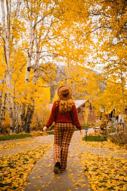 30 Fall Photoshoot Ideas: Level Up Your Fall Photos With These Simple Tips
