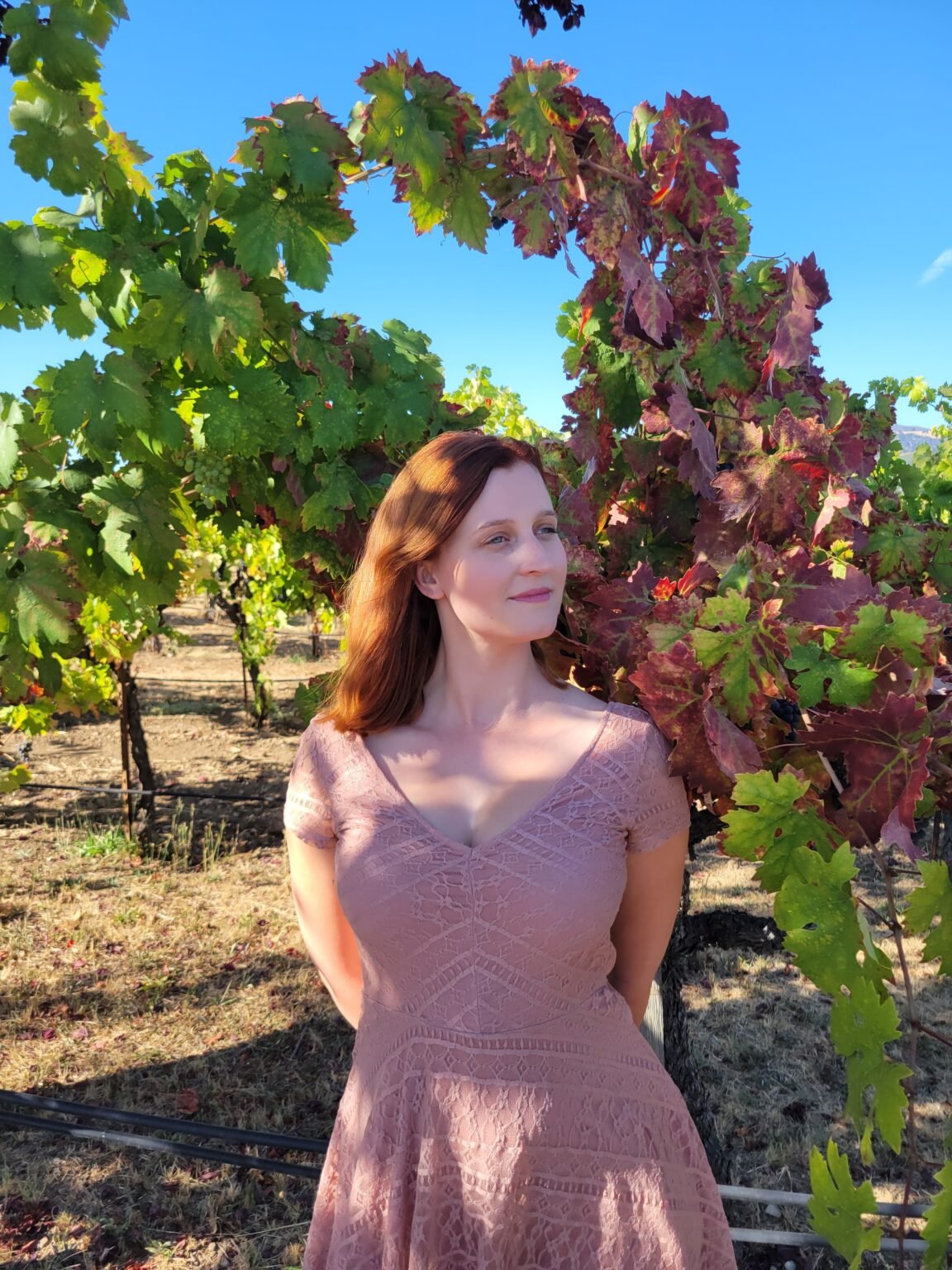 Lammas Celebrations: What Is It & How to Celebrate By Manifesting Your ...