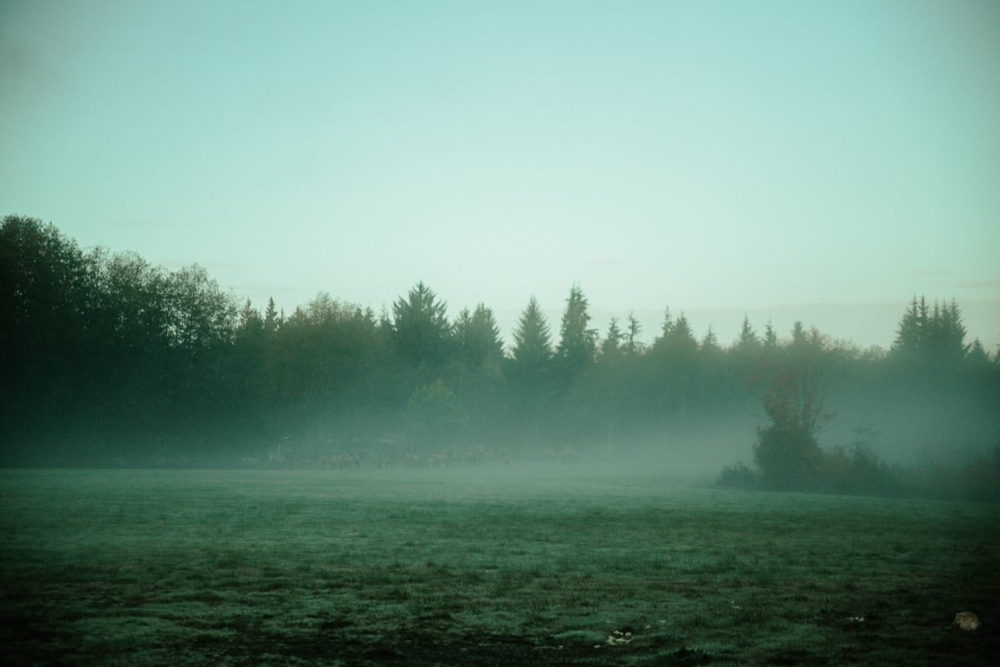 Forks Twilight Guide: 12+ Movie Filming Locations For A Self Guided Tour!