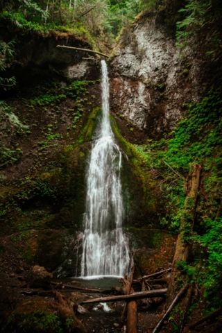 Forks Twilight Guide: 12+ Movie Filming Locations For A Self Guided Tour!