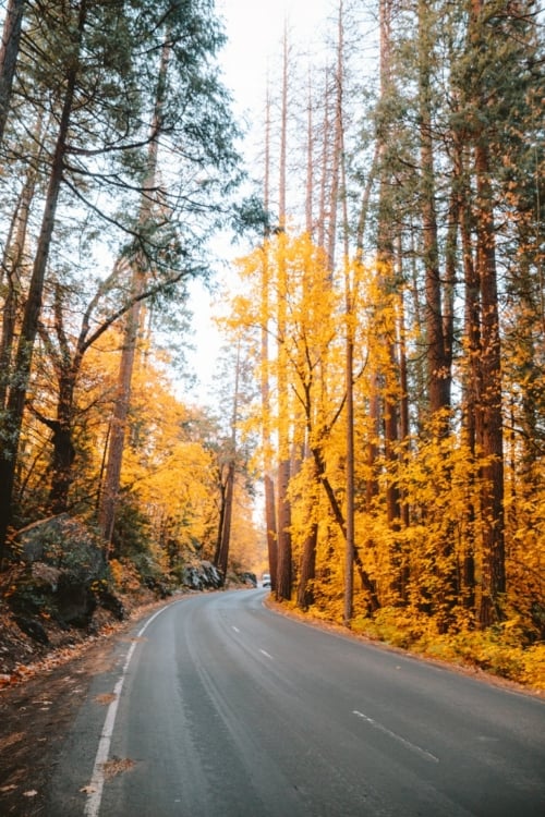 From Coast to Coast: 21 Top Places For Fall Leaves in the USA