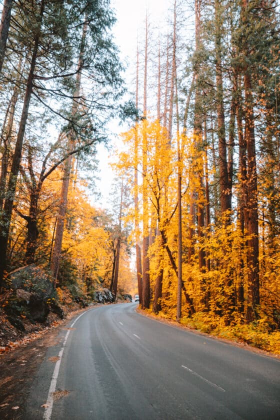 From Coast to Coast: 21 Top Places For Fall Leaves in the USA