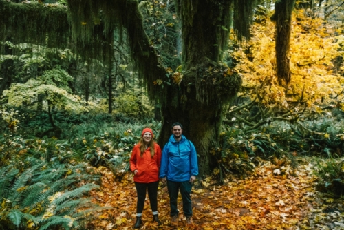 Olympic National Park: 21 Things To Do + Secret Spots You Can't Miss