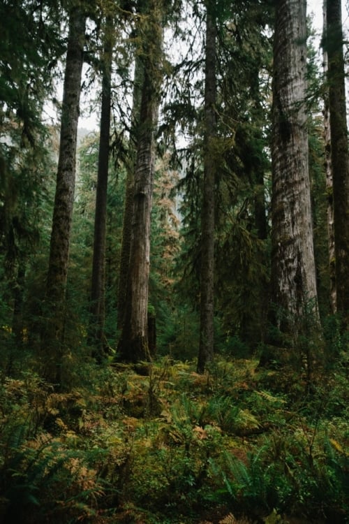 11 Witchy Places To Travel To Inspire Your Next Magical Getaway
