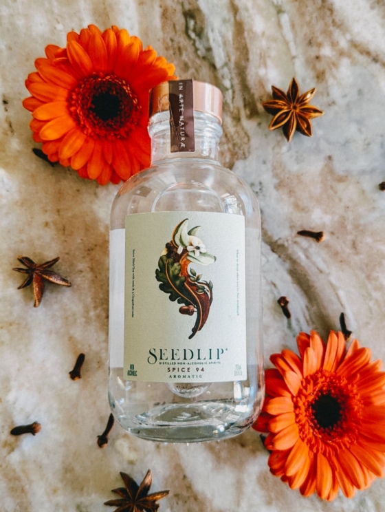 You’ll Never Believe What Seedlip REALLY Tastes Like!