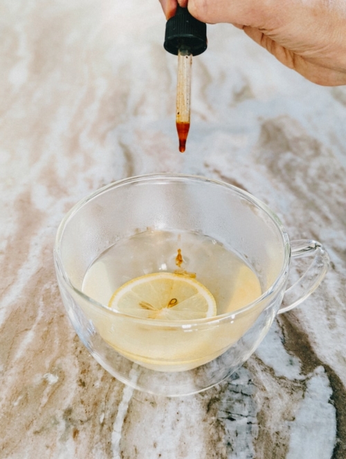 You’ll Never Believe What Seedlip REALLY Tastes Like!