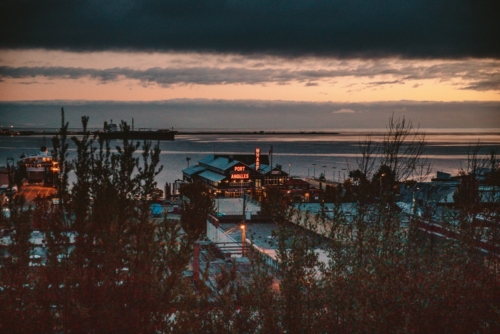 12 Things To Do In Port Angeles (Before Visiting Olympic National Park)