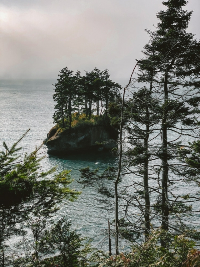 12 Things To Do In Port Angeles (Before Visiting Olympic National Park)