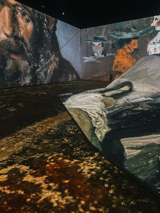 7 Tips For Visiting Imagine Picasso Exhibit (New Immersive Art Show!)