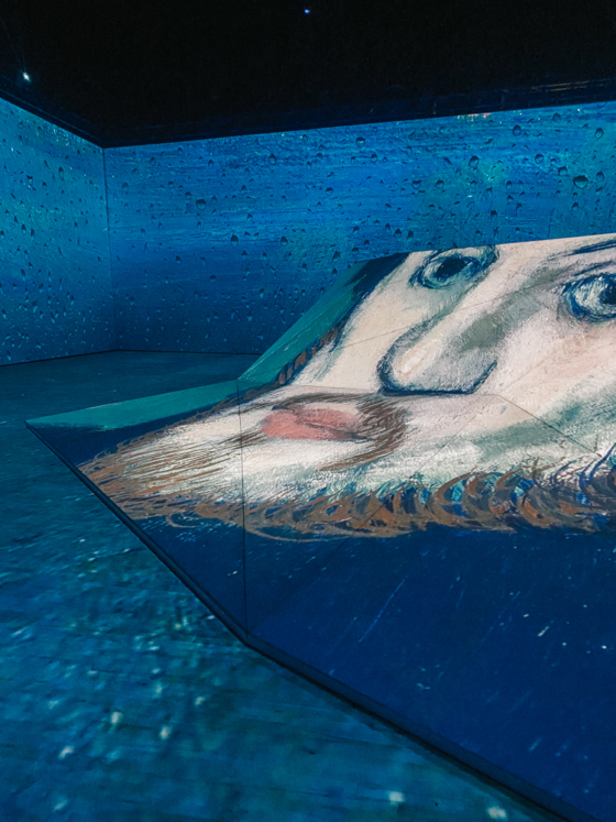 7 Tips For Visiting Imagine Picasso Exhibit (New Immersive Art Show!)
