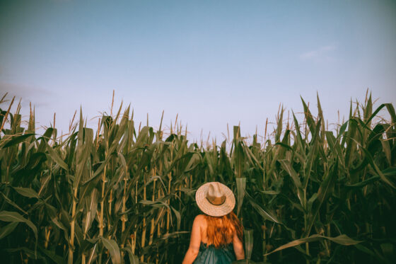 30 Madison WI Photo Spots: Best Murals, Cafes, Lake Views & More!