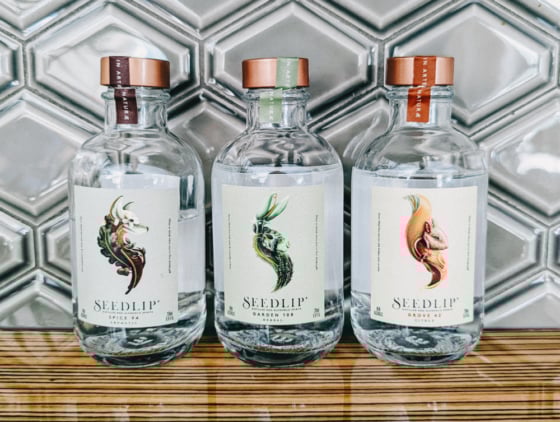 You’ll Never Believe What Seedlip REALLY Tastes Like!