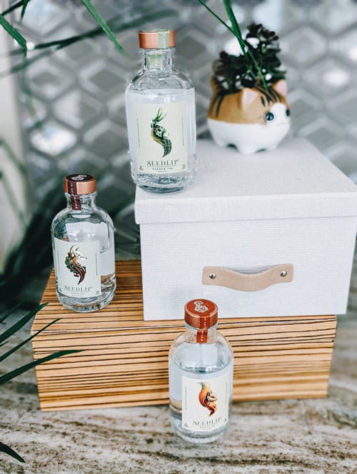 You’ll Never Believe What Seedlip REALLY Tastes Like!