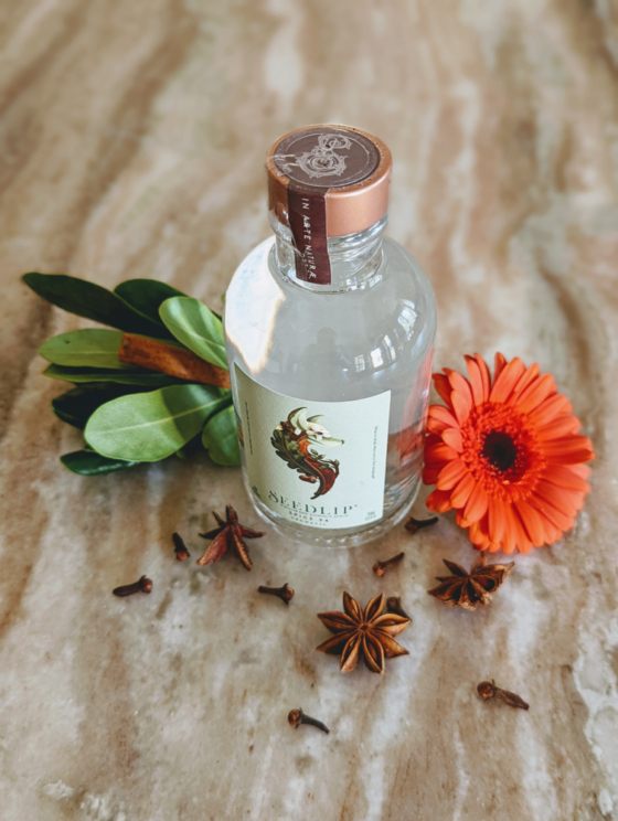 You’ll Never Believe What Seedlip REALLY Tastes Like!