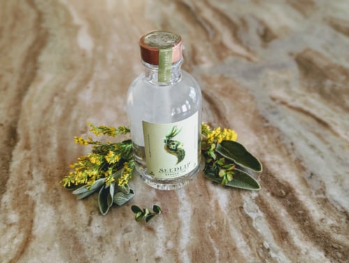You’ll Never Believe What Seedlip REALLY Tastes Like!