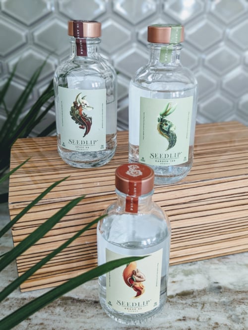 You’ll Never Believe What Seedlip REALLY Tastes Like!