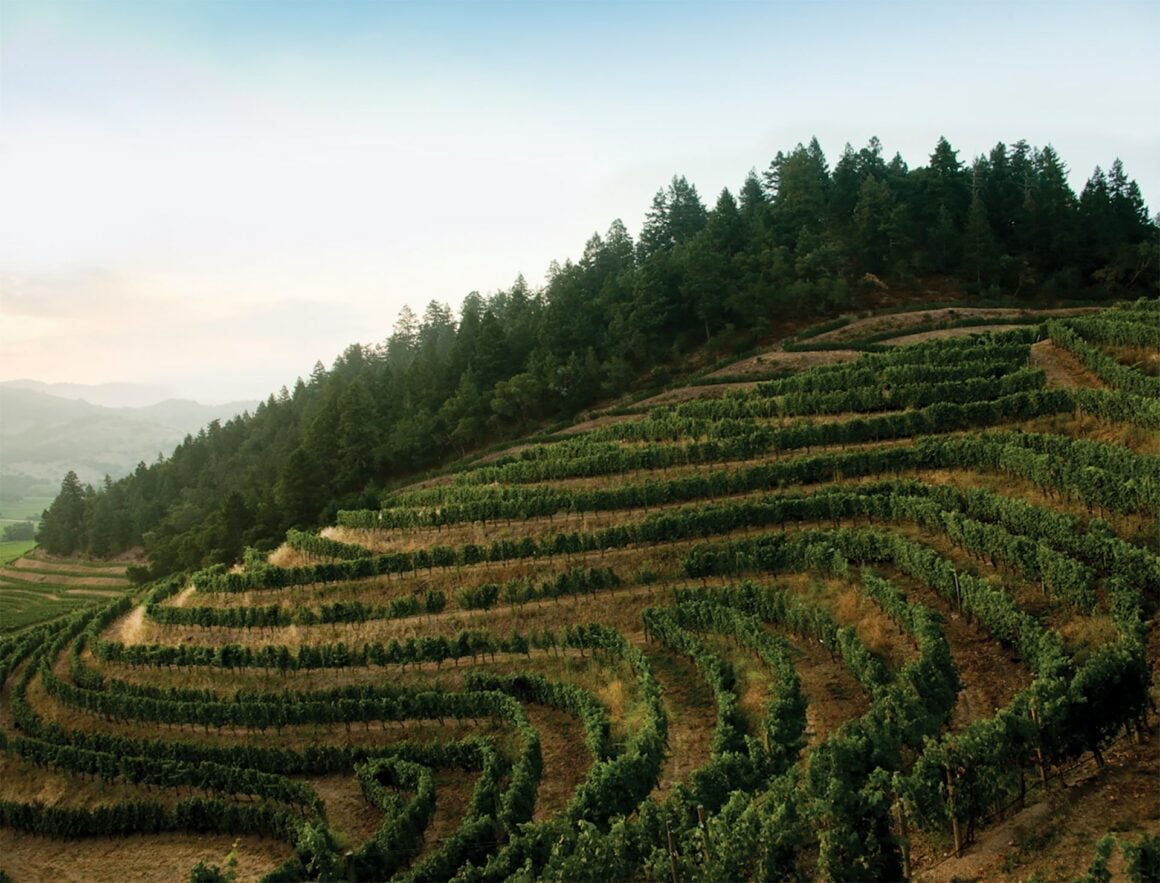 20 Most Beautiful Wineries in Napa Valley: Scenic Views, Castles ...