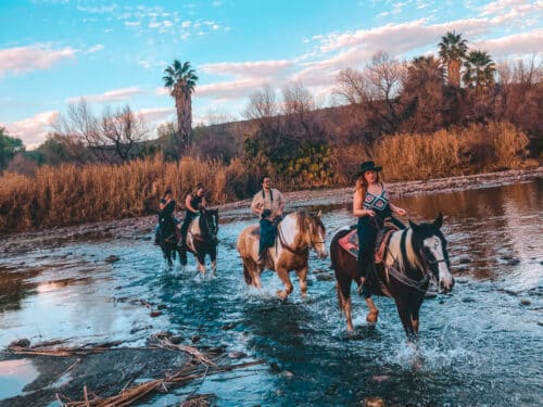 Horseback Riding in Arizona: My Stunning Desert Sunset Trail Ride Near Mesa