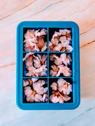 Pink Sakura: A Cherry Blossom Nigori Sake Cocktail